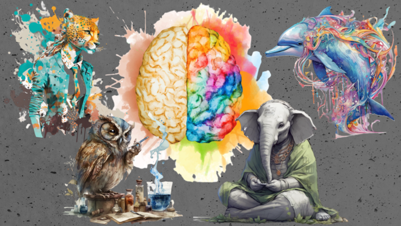 DISCOVER THE C.O.D.E. TO YOUR UNIQUE BRAIN TYPE | Jim Kwik